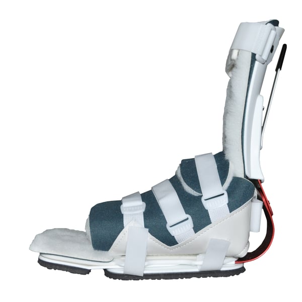 Orthotic Product Directory