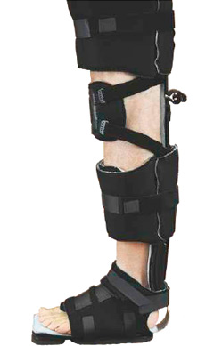 Home [www.anatomicalconceptsinc.com]