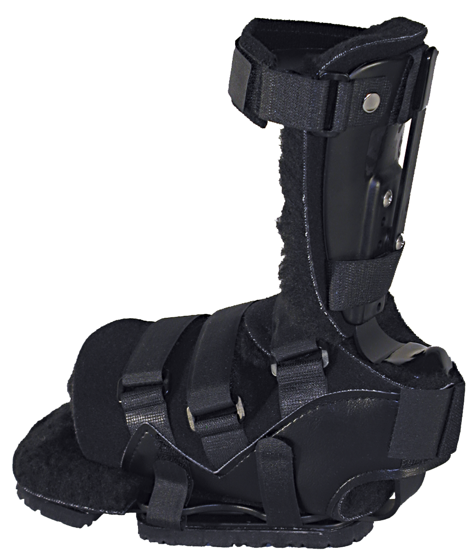Pediatric Dual Action Ankle Foot Orthosis | Anatomical Concepts, Inc.